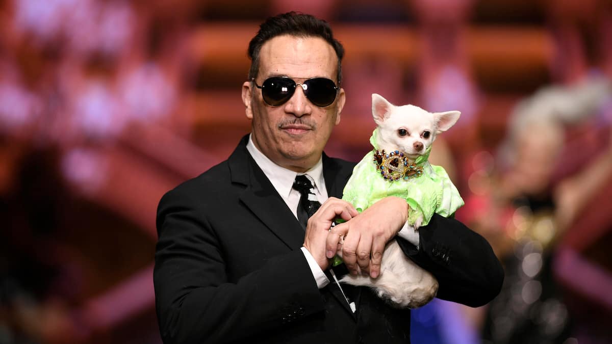 Very important pets: Luxus für Haustiere | Handelszeitung