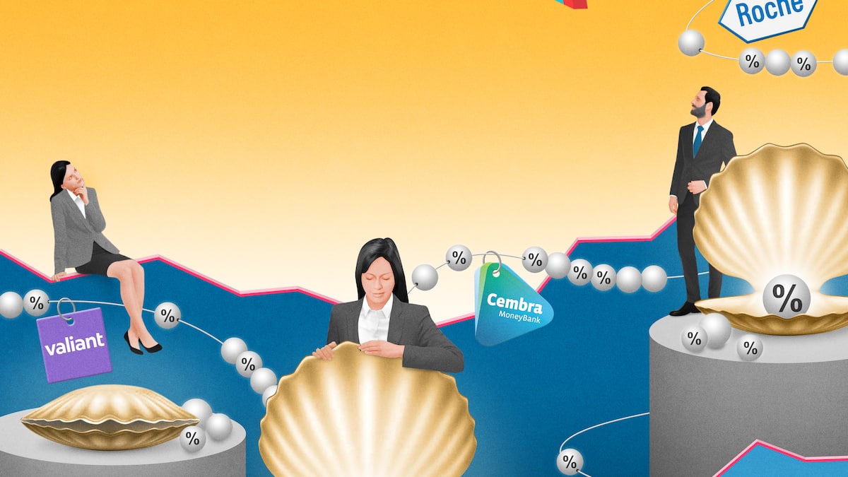 Diese zehn Schweizer Aktien sollten 2023 die Anleger mit besten ...