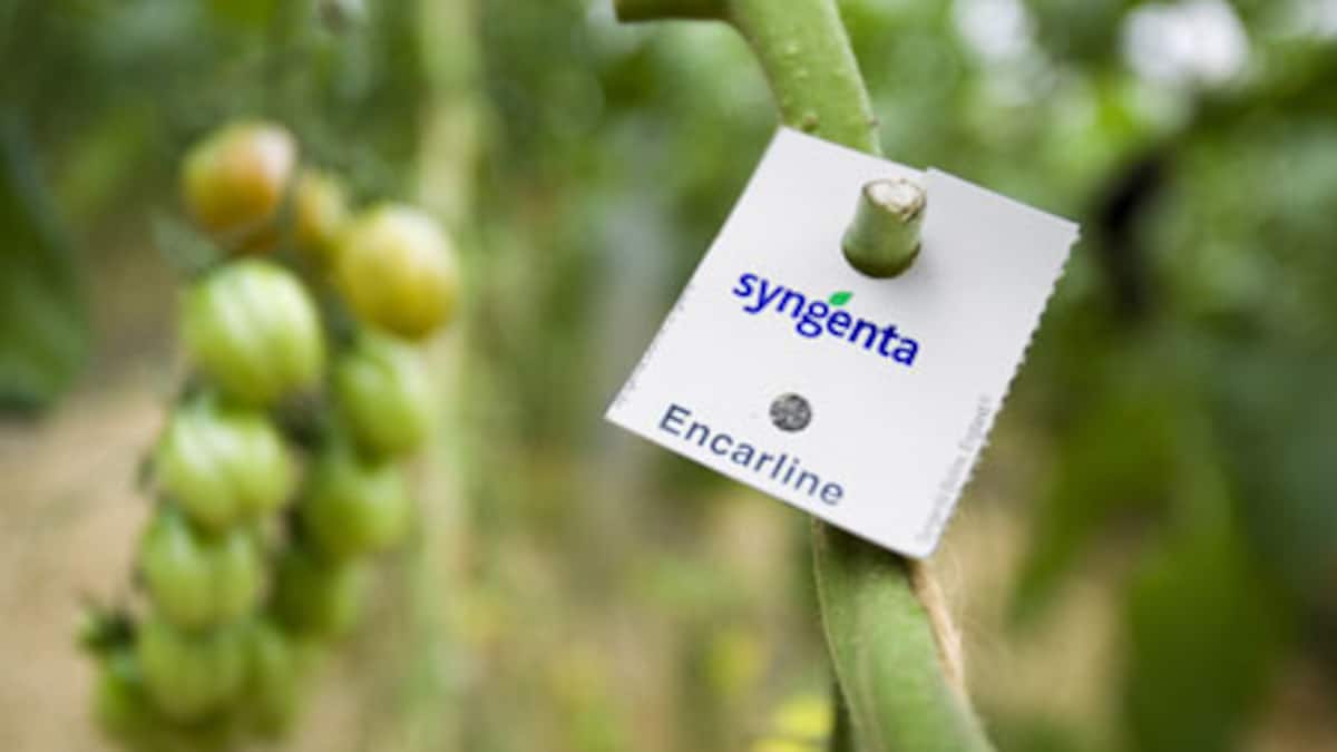 Zweifelhafte Ehre für Syngenta | Handelszeitung