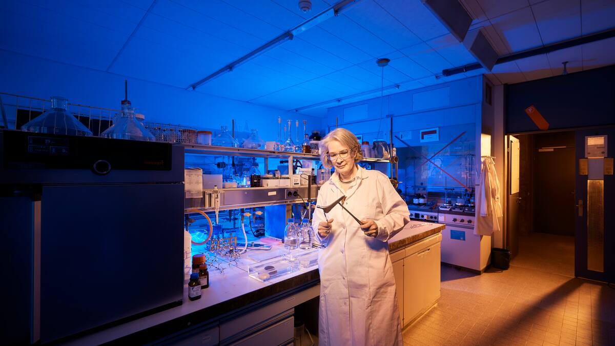Meisterin der Elemente: Katharina Fromm entwickelt antibakterielle ...