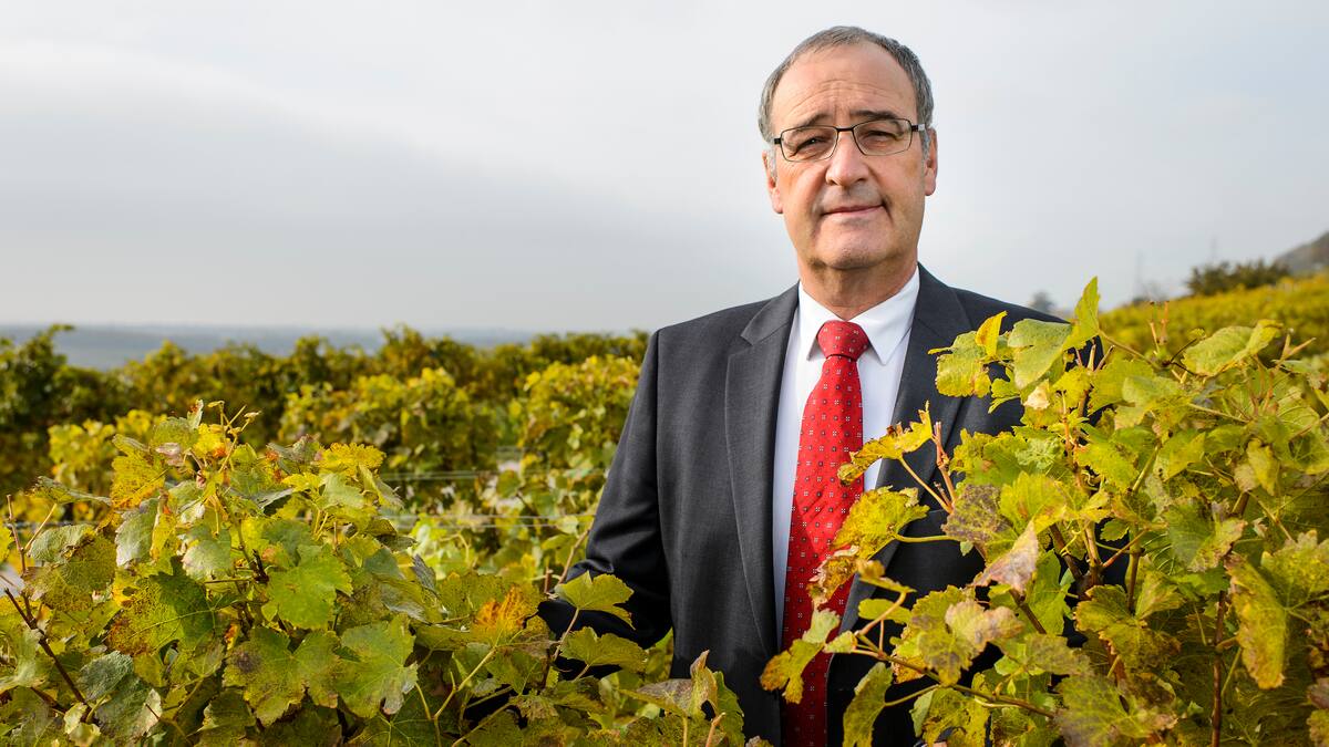 Guy Parmelin: Gegen alle Widerstände | Handelszeitung