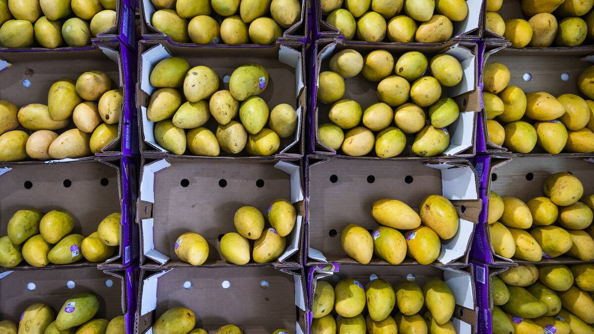 Inflation in den USA sinkt leicht auf 8,3 Prozent | Handelszeitung