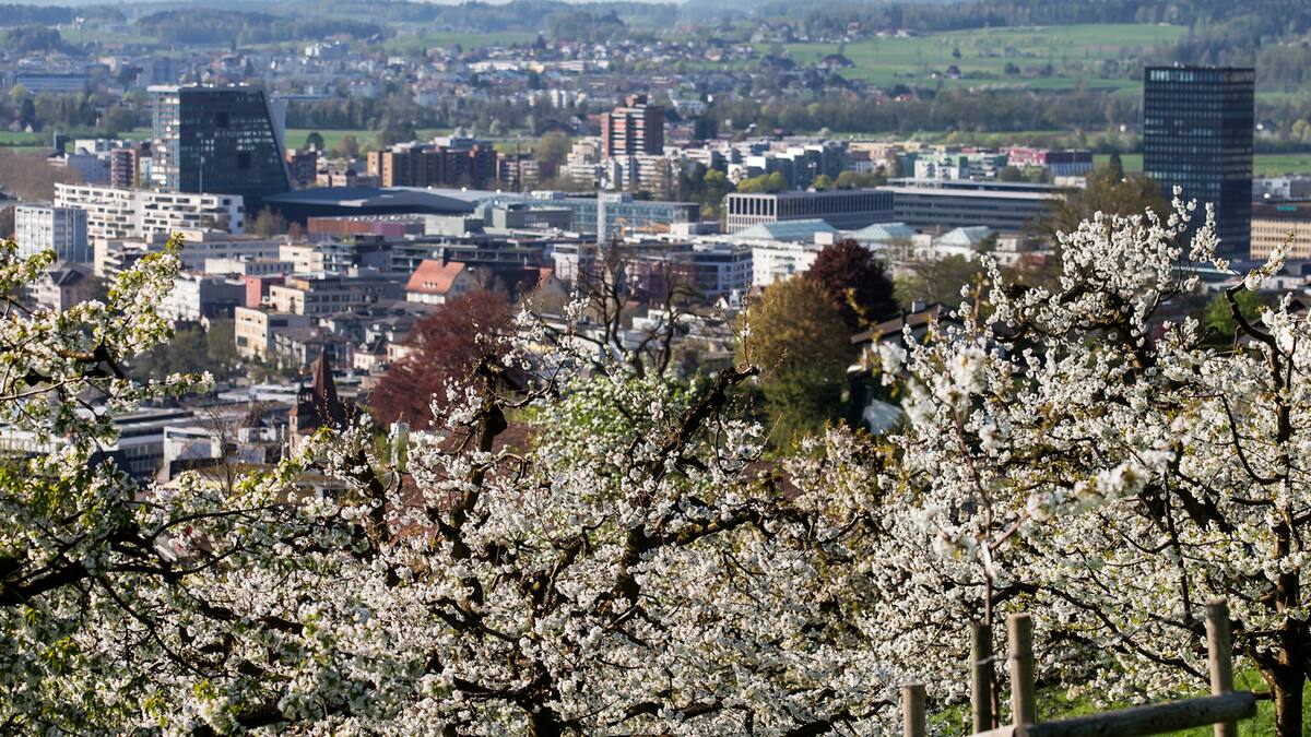 Krypto-Startup zieht ins Zuger Stadthaus | Handelszeitung