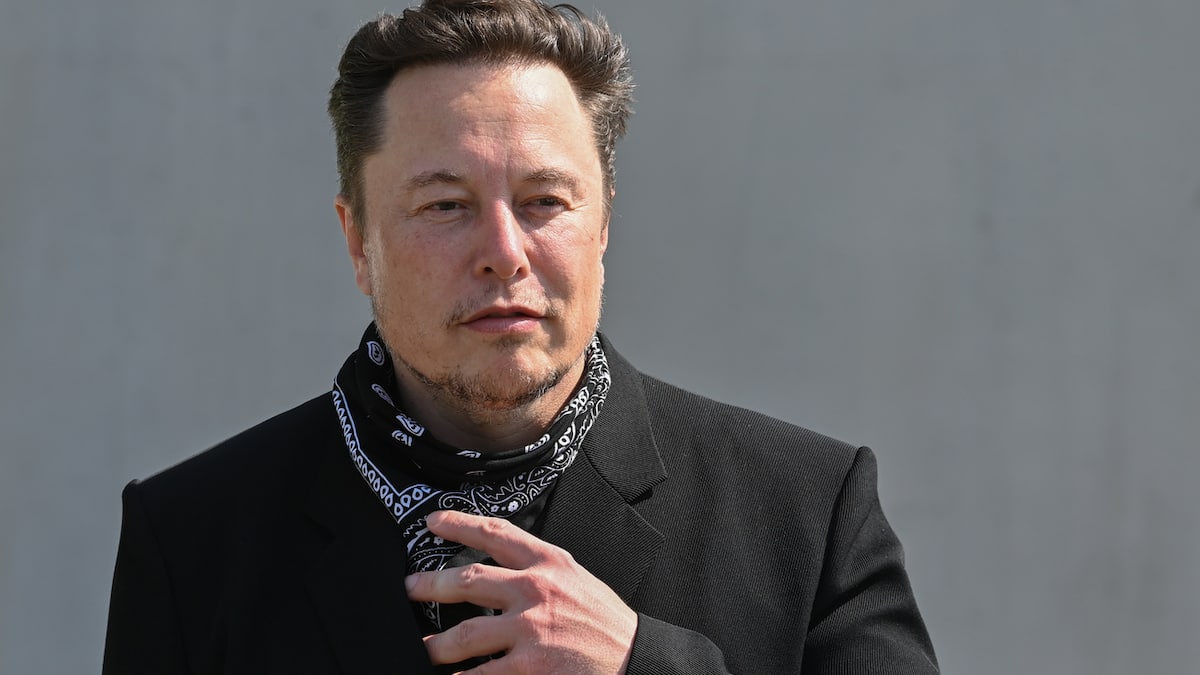 Tesla Aktien Verschenkt Elon Musk Tätigt Mega Spende Von Fast 2