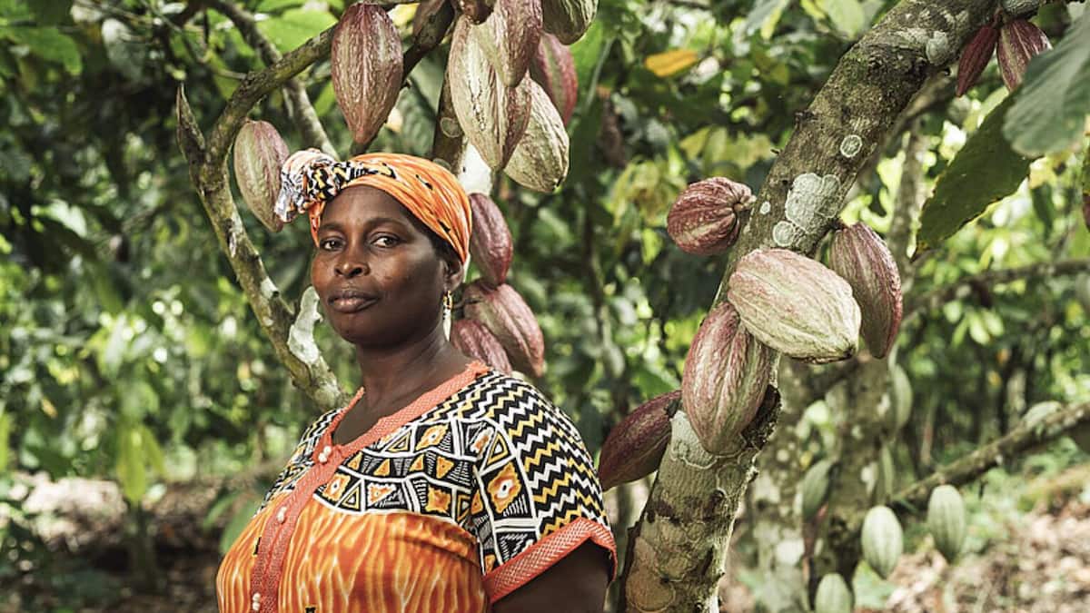 Fairtrade Max Havelaar unterstützt mit dem fairen Kakaohandel ...