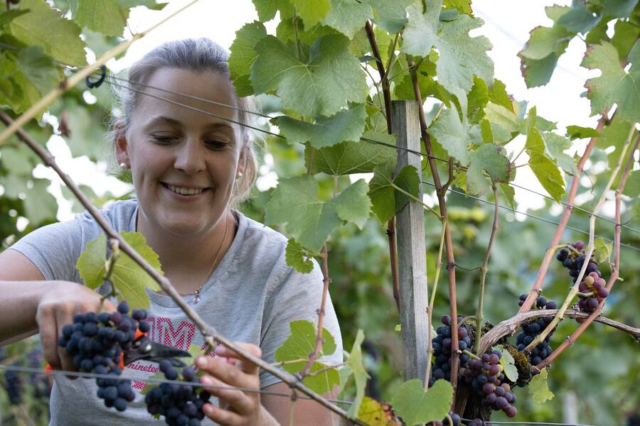 Was die beiden Unternehmerinnen Katja Riem und Kris Vietze im ...